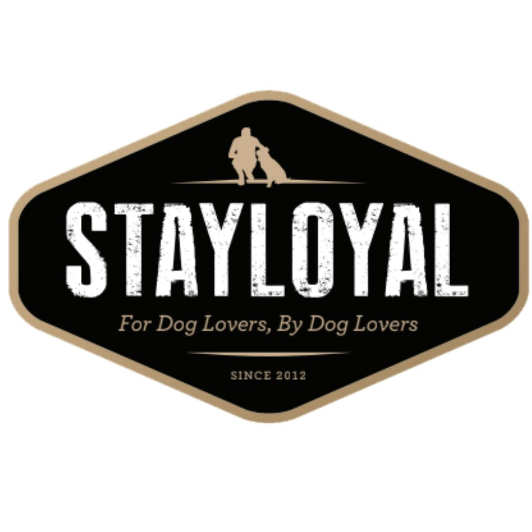 Stay Loyal