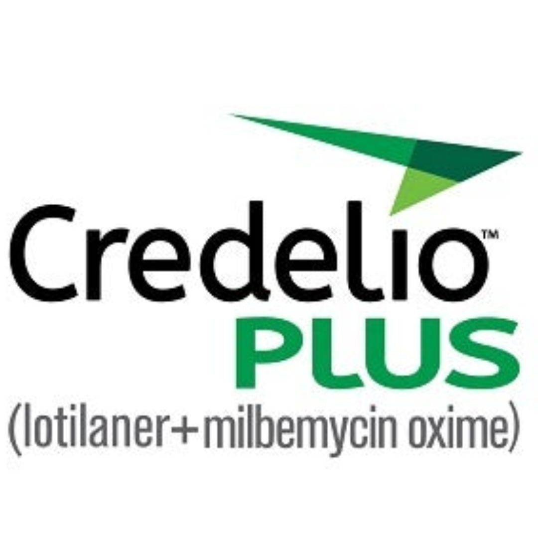 Credelio Plus for Dogs Superior Flea & Tick Control