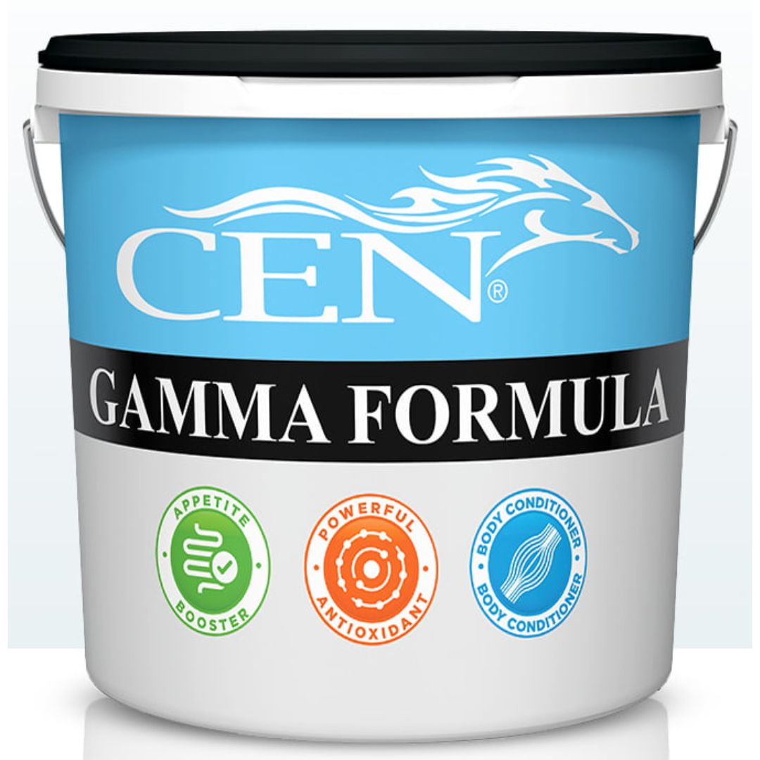 Cen Gamma Formula for Horses