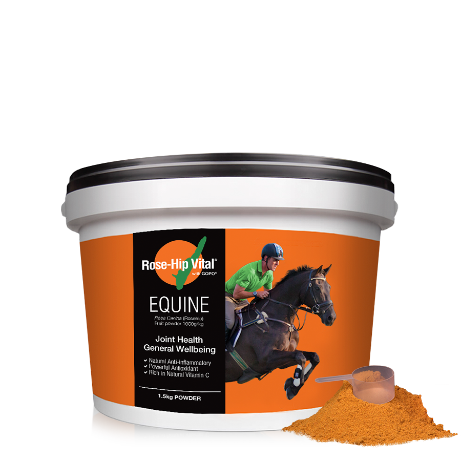 Rose-Hip Vital Equine Powder for Horses | PeekAPaw