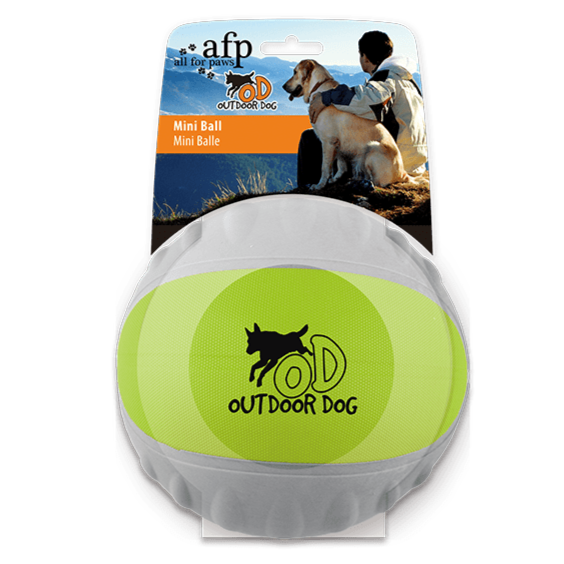 All for Paws AFP Dog Outdoor Durafoam Ball Green 10cm